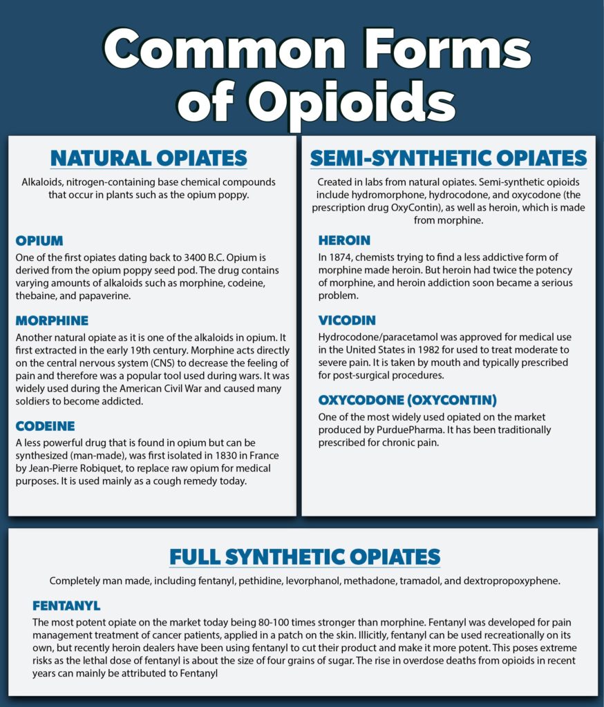 Opioid Education | Prescription Drug Addiction Treatment Program FL